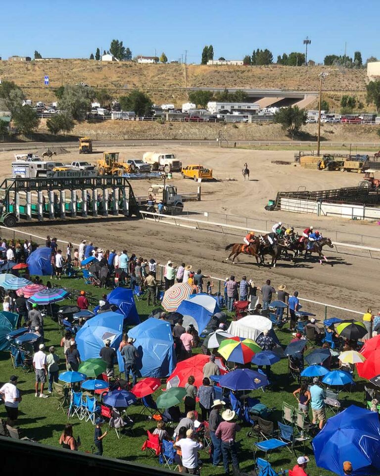 NevadaGram #218 – Elko County Fair | NevadaGram from the Nevada Travel ...